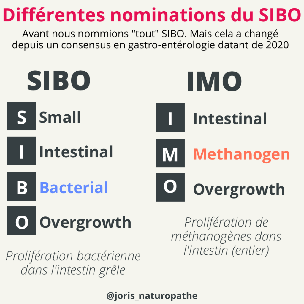 Les différents types de SIBO - StopSibo.fr